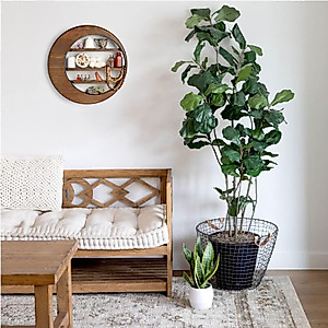 Hijnx Moon Premium Round Wall Shelf for Crystals Display - Essentials Storage Shelf - Solid Wood Craftsmanship Wall Art - Crescent Moon Shelf - Beautiful & Decorative for Your Beloved Ones., Brown