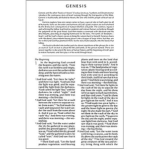 NIV, Holy Bible, Larger Print, Paperback