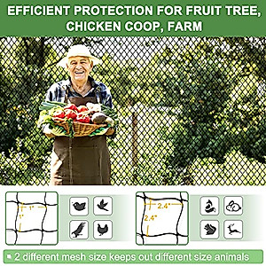 Bird Netting - 25’ x 50’ Garden Netting with 1” Square Mesh as Poultry Netting for Chicken Coop Roof, Heavy Duty Bird Netting for Garden Protection, Nylon Garden Mesh Netting for Fruit Tree, Bushes