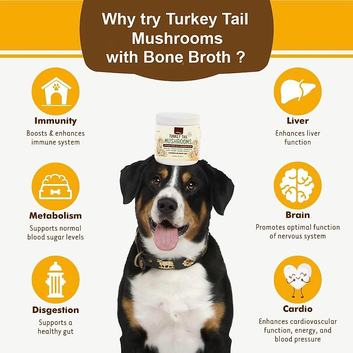iHeartDogs Turkey Tail Mushroom for Dogs with Bone Broth and 6 Mushroom Blend Powder - Mushroom Supplement for Dogs