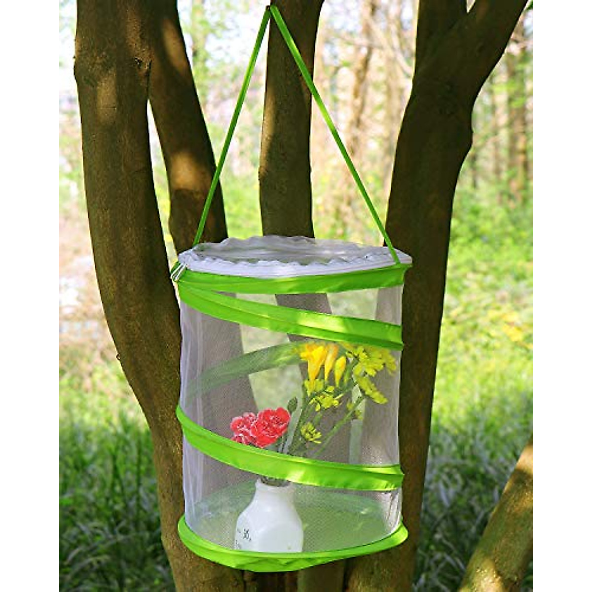 RESTCLOUD Pop-up Insect and Butterfly Habitat Cage Terrarium Clear Mesh Enclosure, See Through Easier 9" x 11" Tall