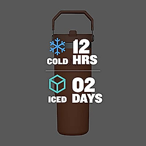 Stanley IceFlow Stainless Steel Tumbler with Straw - Vacuum Insulated Water Bottle for Home, Office or Car - Reusable Cup with Straw Leakproof Flip - Cold for 12 Hours or Iced for 2 Days (Ochre)