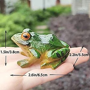 2 Pcs Frog Statues Miniature Simulation Small Animal Resin Sculpture Patio Lawn Yard Terrace Micro Landscape Fairy Garden Fish Tank Accessories Indoor and Outdoor Mini Decorative Ornaments (frog)
