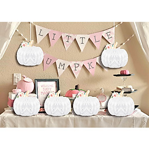 Fall Honeycomb Pumpkin Centerpiece for Table,Little Pumpkin Baby Shower Decorations for Girl Boy,10 Inch Paper Hanging Pumpkin Decorations for Thanksgiving Halloween,W A Little Pumpkin is On Her Way