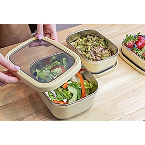 MIRA Reusable Stainless Steel Food Storage Containers, Bento Lunch Box with Anti-Slip Exterior for Meal Prep, Portion Control, Kitchen Food Storage - Set of 3 (2 cups, 4 cups, 6 cups), Honey