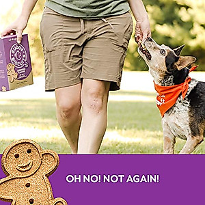 Buddy Biscuits Oven Baked Dog Treats, Assorted Flavors Roasted Chicken, Grilled Beef, Sharp Cheddar, 16oz