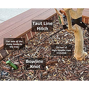 Complete Tree Stake Kit with Stakes, Supports, and Improved Rope - Ideal for Tree Staking, Straightening, and Support