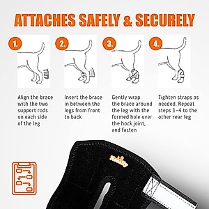 NeoAlly® - Rear Leg Hock Brace with Metal Spring Strips, Dog Leg Brace for Rear Leg, Hock and Ankle Support, Rear Dog Leg Brace for Smaller Dogs, Short Version, Medium, 1 Pair