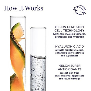 Meaningful Beauty Youth Activating Melon Serum