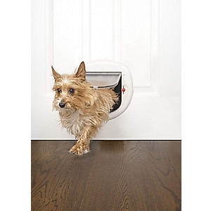 Premier Pet Locking Pet Door - 4-Way Lock, For Pets Up to 25 lbs, Energy Efficient with Weather Stripping, Clear Hard Flap, Easy DIY Installation