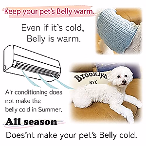 Pancia Silk Pet Belly Warmer (S, Pink)