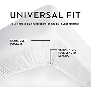 Queen Size Sheet Set - 1000 Thread Count 100% Egyptian Cotton 4 Piece Ivory Sheet Set - Deep Pockets Fits Upto 19 Inch - Sateen Weave Luxury Hotel Quality Solid Bed Sheets & Pillowcases - Easy Fit