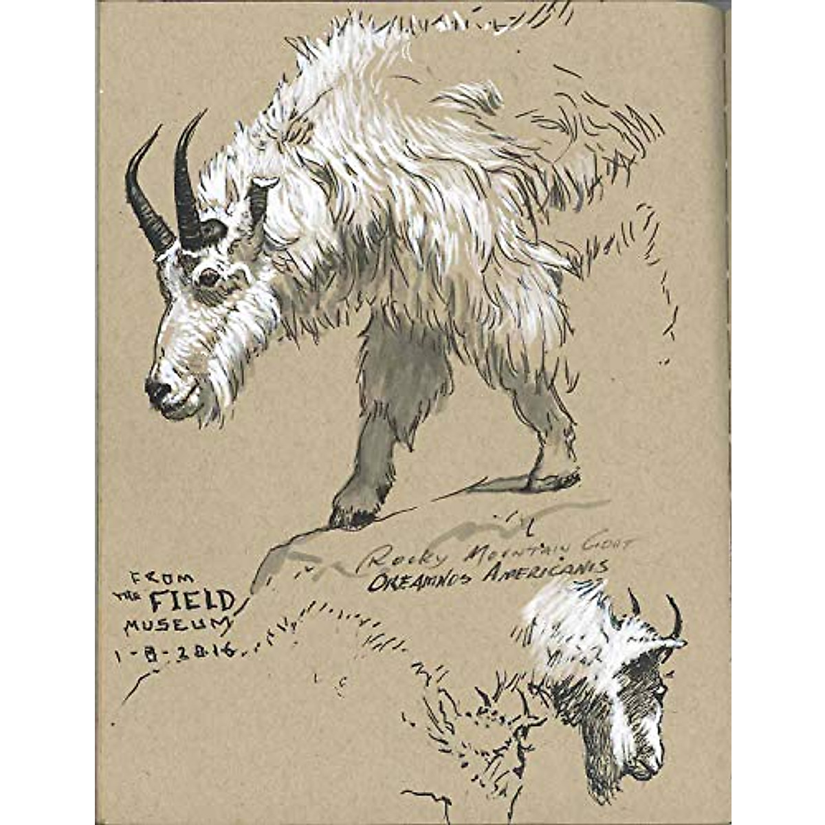 Faber Castell Water Based Marker Pit Artist Pen 101 White 1.5 167893