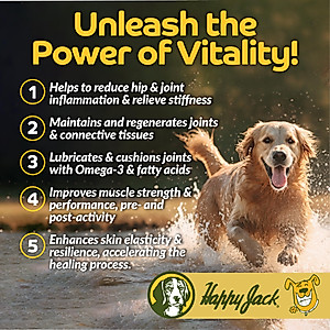 Happy Jack Flexenhance Dog Hip and Joint Supplement with Skin & Coat Support Plus (80 Chewable Tabs), Improve Flexibility & Mobility, Glucosamine, Green Lipped Mussel, Fish Oil