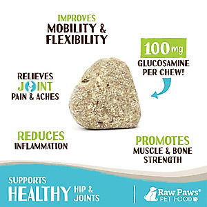 Raw Paws Hip and Joint Treats for Dogs, 10-oz/100-ct - Made in USA - Soft, Chewable Dog Arthritis Supplement - Dog Glucosamine Chews Increases Mobility, Reduces Pain, Inflammation & Hip Dysplasia