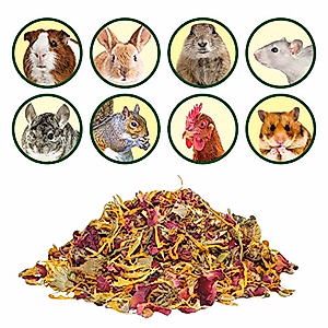 Exotic Nutrition Flower Treat 3 Pack - Healthy Assortment - Hibiscus, Calendula, Rose - for Squirrels, Guinea Pigs, Rabbits, Chinchillas, Prairie Dogs, Degus, Hamster, Gerbils, & Other Herbivores