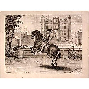 Bolsouer. Monseigneur le marquis α Cheval. Balottades par le Droite