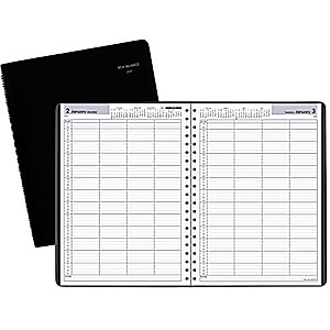 AT-A-GLANCE 2023 Daily Four Person Appointment Book, DayMinder, Quarter-Hourly Appointment Book, 8" x 11", Large, Black (G56000)