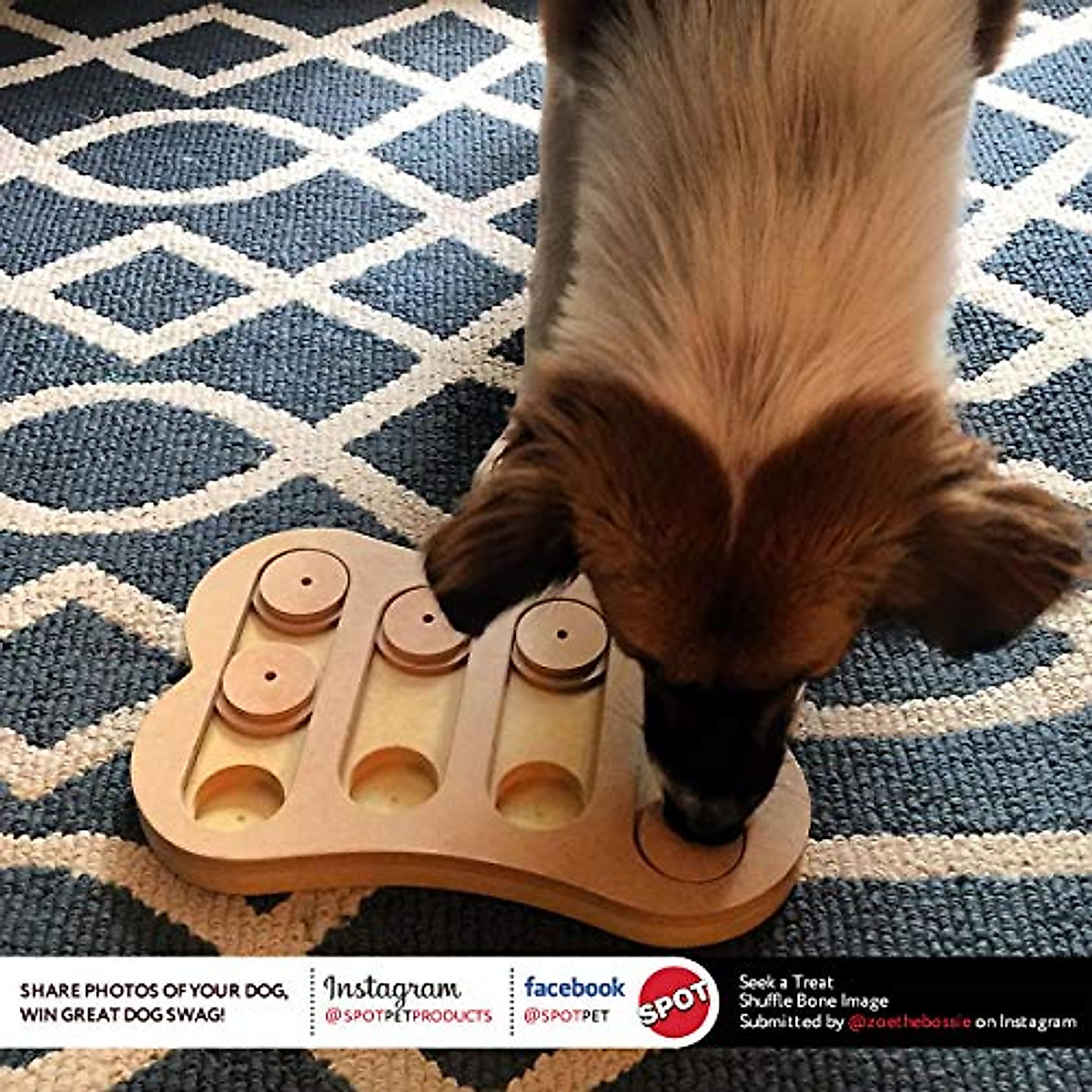 SPOT Ethical Pet Interactive Seek-A-Treat Shuffle Bone Toy Puzzle That Will Improve Your Dog's IQ, Specially Designed for Training Treats