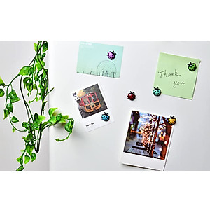 HLLMX 12 PCS Cute Ladybug Refrigerator Magnets Kitchen Magnets Office Magnets for Kitchen School Classroom, Locker Magnets for Kids Boys Girls, Home Decoration Photos