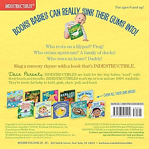 Indestructibles: Row, Row, Row Your Boat: Chew Proof · Rip Proof · Nontoxic · 100% Washable (Book for Babies, Newborn Books, Safe to Chew)