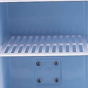 Portable Mini Fridge, Mini Fridge Detachable Partition Small Portable for Food(Blue)