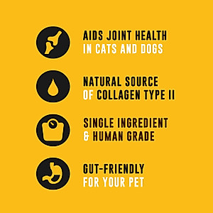 8oz Chicken Bone Broth Powder for Dogs and Cats – Premium Human Grade Chicken Broth Topper for Picky Eaters –Supports Joints and Gut Health – Bone Broth for Cats - Dog Food Toppers For Dry Food