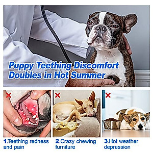 ADDPETS Puppy Toys Frozen 3 Pack for Teething Puppies,Puppy Chew Toys for Teething Relieve Teething Pain Itching, Fillable Puppy Teething Toys,Floating Puppy Chew Toys,Teething Comfort in Summer