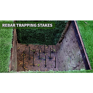 Besitu 16 inches Ground Rebar Stakes (16 pcs) Heavy Duty Metal Spikes for Concrete Timber Garden Plant, Long Straight Steel Stakes for Tent, 3/8" Thickness Ground Anchors with Chisel Point End, Black