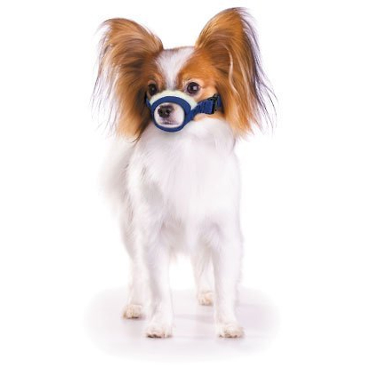 Zittop Cozy Quick Muzzle Four Flags X-Small, Blue