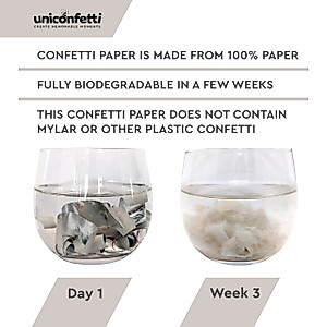 Silver Confetti Paper - BULK 2.2lbs | 1kg, Biodegradable Tissue Paper, Rainbow Light Weight, Non-Staining Paper, for Events, Crafts, Decorations (SILVER Confetti Paper 2lbs Biodegradable)