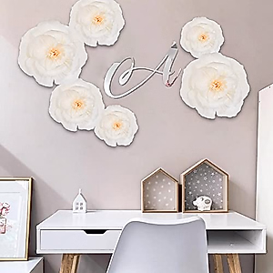 BEISHIDA 6 Pieces Paper Flower Decoration Supplies for Party Decoration, Wedding Decoration, Background Wall, Room Decoration, Bridal Shower, Baby Shower (White)