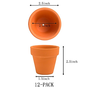 Fcacti 12 PCS Small Mini Clay Pots with Drainage Holes for Plants,2.5inch Terra Cotta Pot Clay Ceramic Pottery Planter,Succulent Nursery Pot/Cactus Plant Pot,for Indoor/Outdoor Plants,Crafts