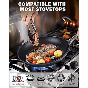 Cooks Standard Frying Omelet Pan, Classic Hard Anodized Nonstick 8-Inch/20cm Saute Skillet Egg Pan, Black