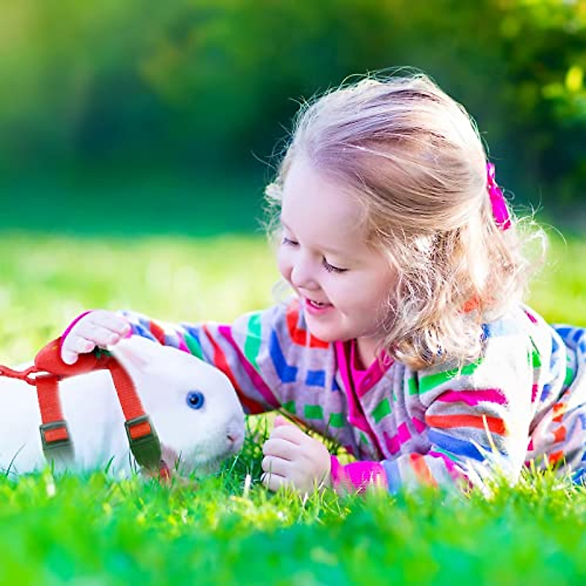 4 Sets Adjustable Bunny Rabbit Harness and Leash Set Small Pet Cute Vest Harness Leash Ferret Harness Guinea Pig Harness Ferret Leash with Decorations for Bunny Kitten Puppy, Small Pets (Fruit)