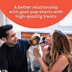 Pupford Steak Strips for Dogs & Puppies - Healthy, Natural, Single Ingredient Freeze Dried Beef Lung Dog Treats - Made in USA (10 oz)