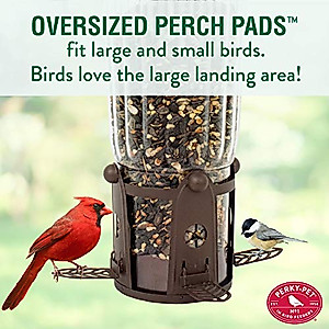 Perky-Pet 334-1SR Squirrel-Be-Gone Max Large Wild Bird Feeder with Flexports, Squirrel Proof Bird Feeder with Weight-Activated Perches - 4LB Seed Capacity