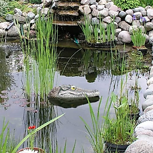 Geniff Floating Alligator Head, Pool Accessories Float Alligator for Koi Pond Decoration and Protection to Scare Heron Away