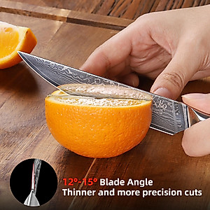 Sunnecko Damascus Kitchen Knife Japanese Utility Knife 5 Inch, Damascus Knife Full Tang with G10 Handle