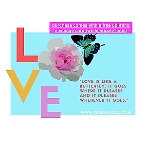 Dream Tada Cinderella Room Decorations, Girl's Bed Canopy - Kid's Glow in The Dark Butterflies Netting, Fit Twin Full Queen, DIY Kit Make a Wish As You Place Each Butterfly