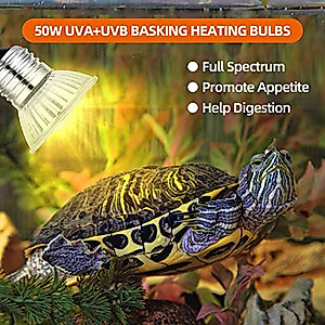 LETGOALL 2-Pack 50W Reptile Heat Lamp Bulbs, UVA + UVB Full Spectrum Sun Lamp Bulbs for Aquarium Turtle Lizard Snake Chameleons Amphibians