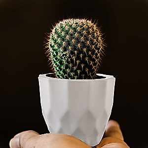 Happyyami Succulent Flower Pot 10pcs Plastic Mini Bonsai Pot Nordic Flower Pot Flower Pot Seedling Nursery Pots Flowerpot Plant Container 24. 5x16cm Plant Nursery Pot