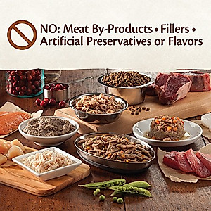 Wellness CORE Grain-Free Signature Selects Wet Cat Food, Natural Pet Food Made with Real Meat (Shredded Chicken & Beef Entrée, 2.8 Ounces) (Pack of 12)