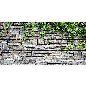 AWERT Vinyl 24x12 inches Stone Brick Wall Aquarium Background Rock Fish Tank Background Spring Leaves Terrarium Background
