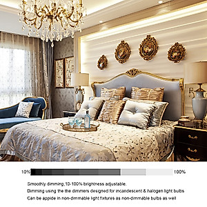 WeshLMPO G9 Bulb 40W 120V G9 Halogen Light Bulbs 2 Pin for Hood Light Oven Light Light Bulb Replacement Dimmable Warm White (12 Pack)