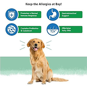 Aller-Chews Max Allergy Support Soft Chew Bites - Maintains Skin and Coat - Supports Immune System - Turmeric and Wild Alaskan Salmon Oil (100ct)