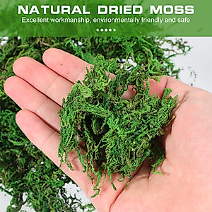 Veemoon 3 Packs of Artificial Moss Dried Moss Fake Lichen Plants for Home Fairy Garden Patio Decoration- Dark Green 60g/ Pack