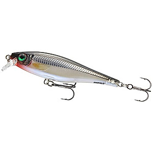 Rapala Balsa Xtreme Minnow 07 Silver Lure, Multi, One Size (BXM07S)