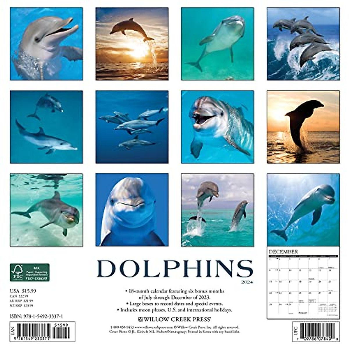 Willow Creek Press Dolphins 2024 12" x 12" Wall Calendar