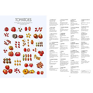 Let's Eat Italy!: Everything You Want to Know About Your Favorite Cuisine (Let's Eat Series, 2)